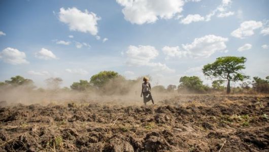 News - Partners for Resilience